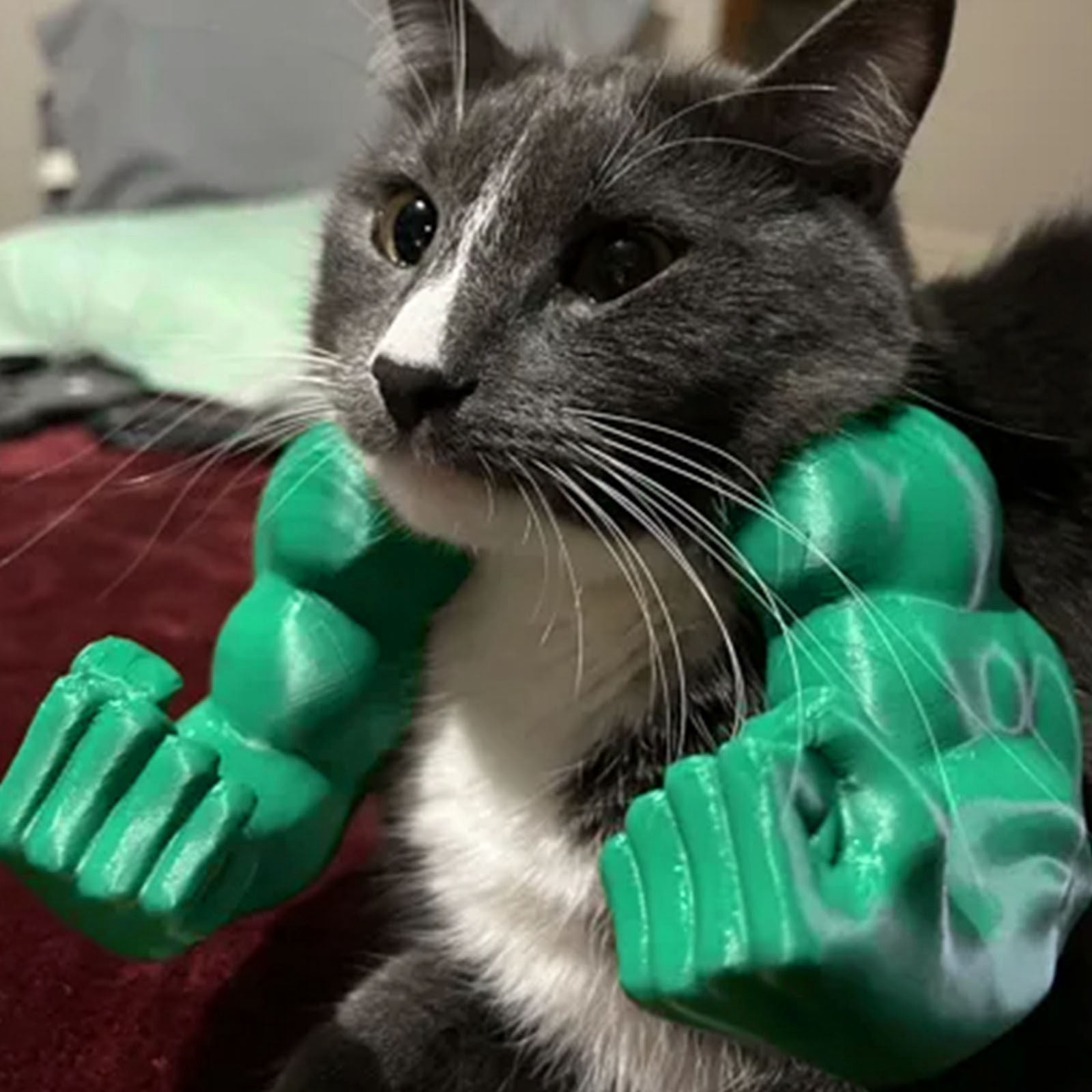 Cat Muscle Arms Funny Halloween Cats Costume Cat Superhero Muscle ...