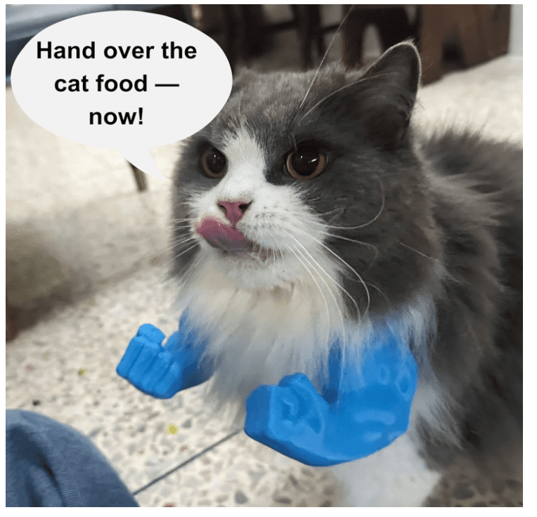 Cat Muscle Arms, Muscle Arms for Cats - Creative Giant Arm, Funny ...