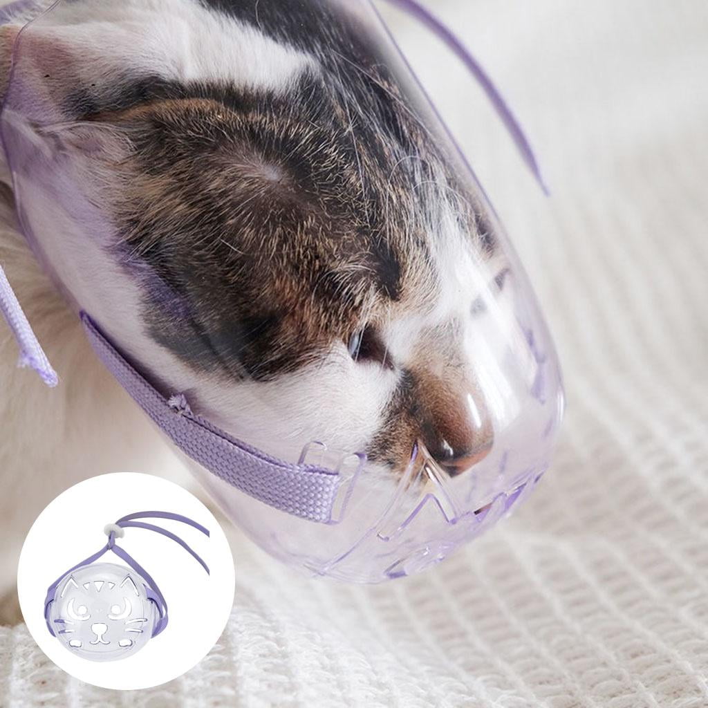 Cat Muzzle Set Transparent Breathable Dog Muzzles Mouth Guard from ...