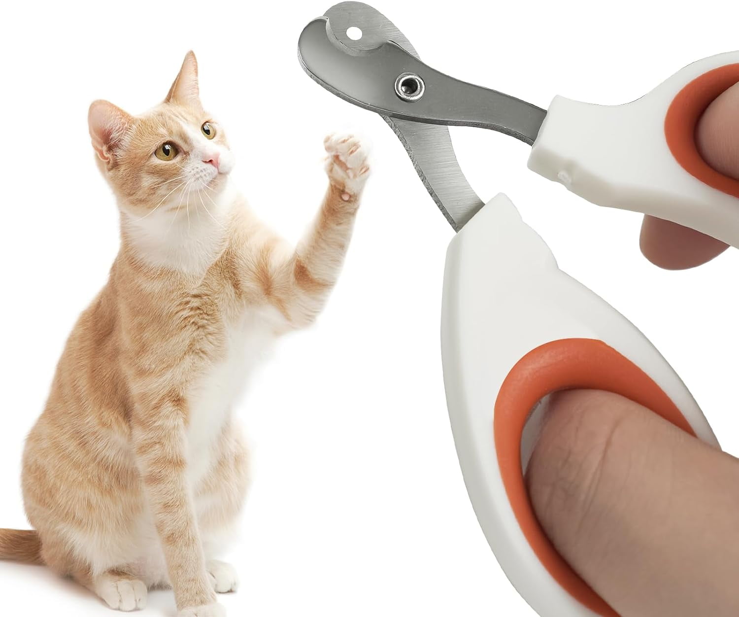Cat Nail Clipper, Cat Nail Clipper with LED Light and Nail File, Cat ...