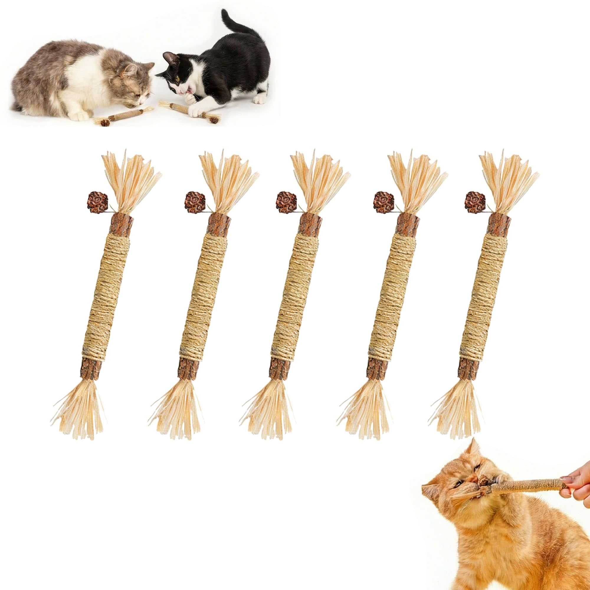 Cat Natural Silvervine Sticks, Catnip para Gatos Chew Cat Toys ...