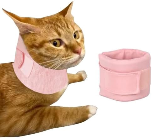 Cat Neck Brace Elizabethan Collar for Pet After Surgery Recovery ...