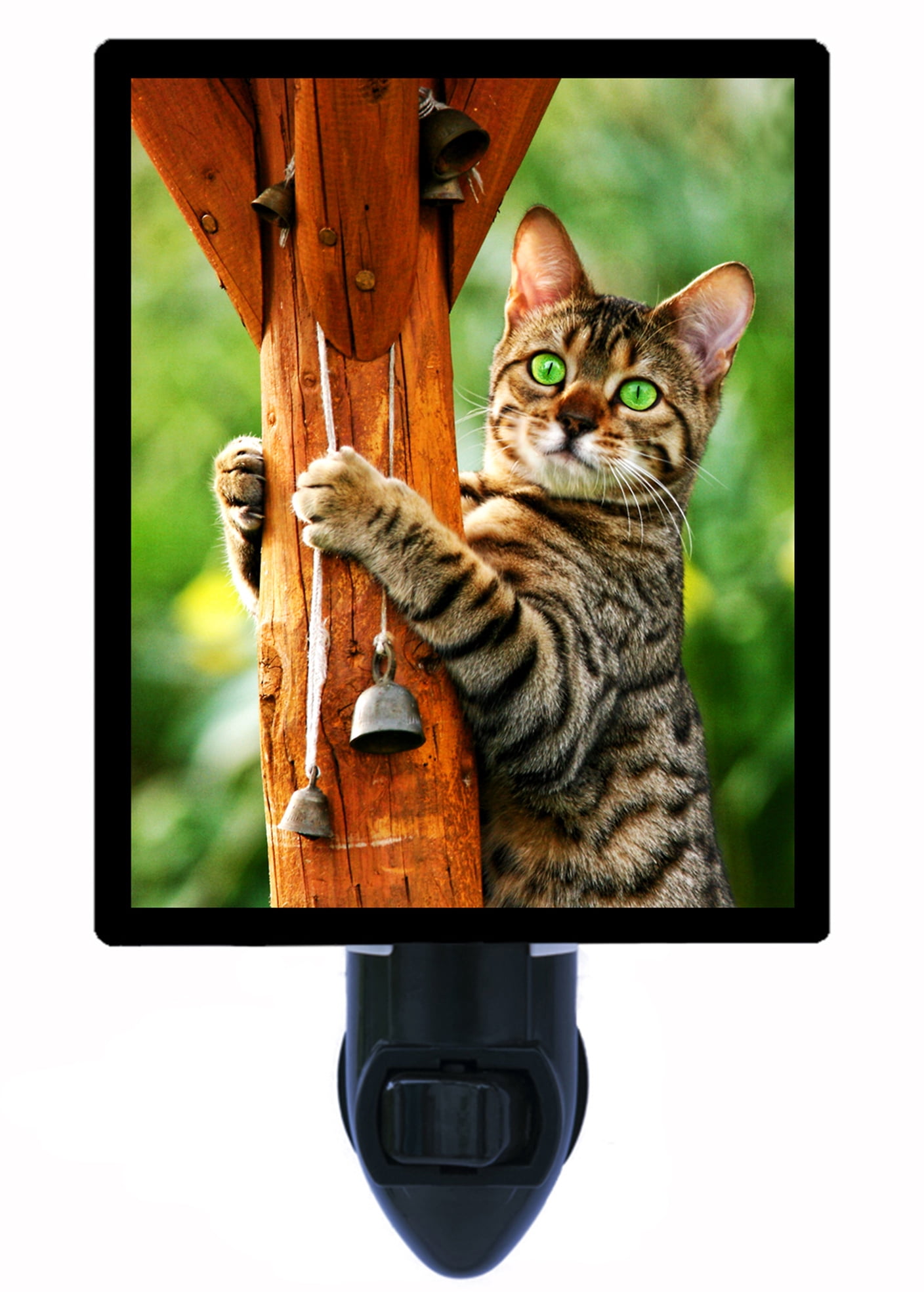 Night Light - Hang Time. | Cat Theme, Includes Free Switchable Insert ...