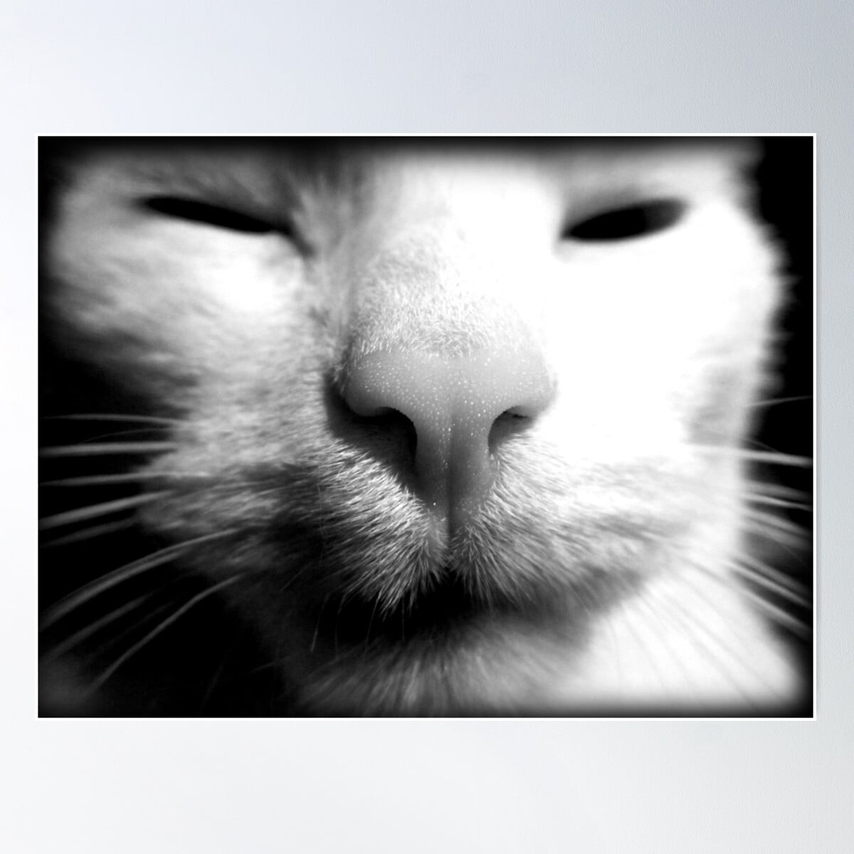 Cat Nose Poster Wall Art Modern Wall Decor For Living Room Bedroom Art ...