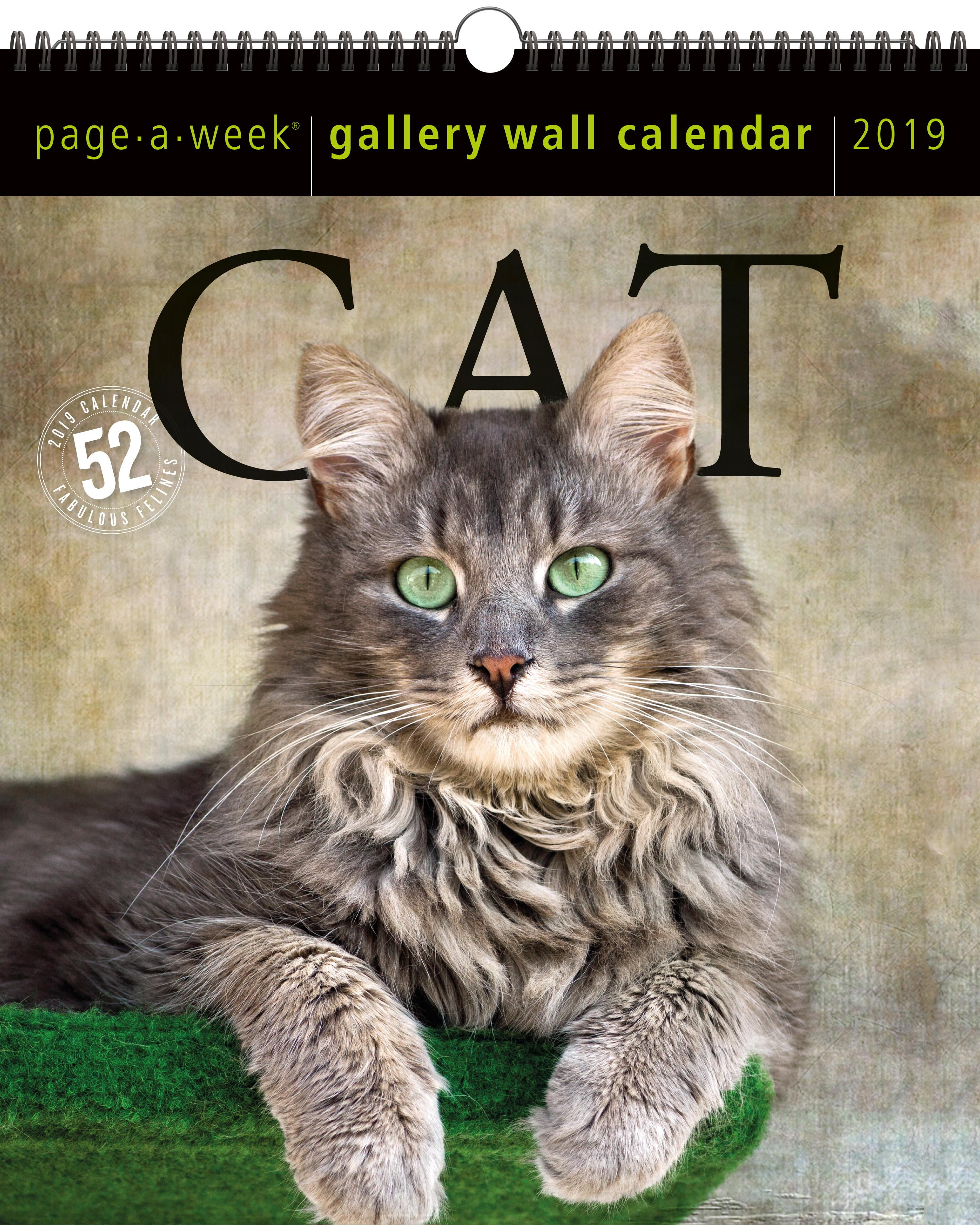 Cat Page-A-Week Gallery Wall Calendar 2019 (Other) - Walmart.com