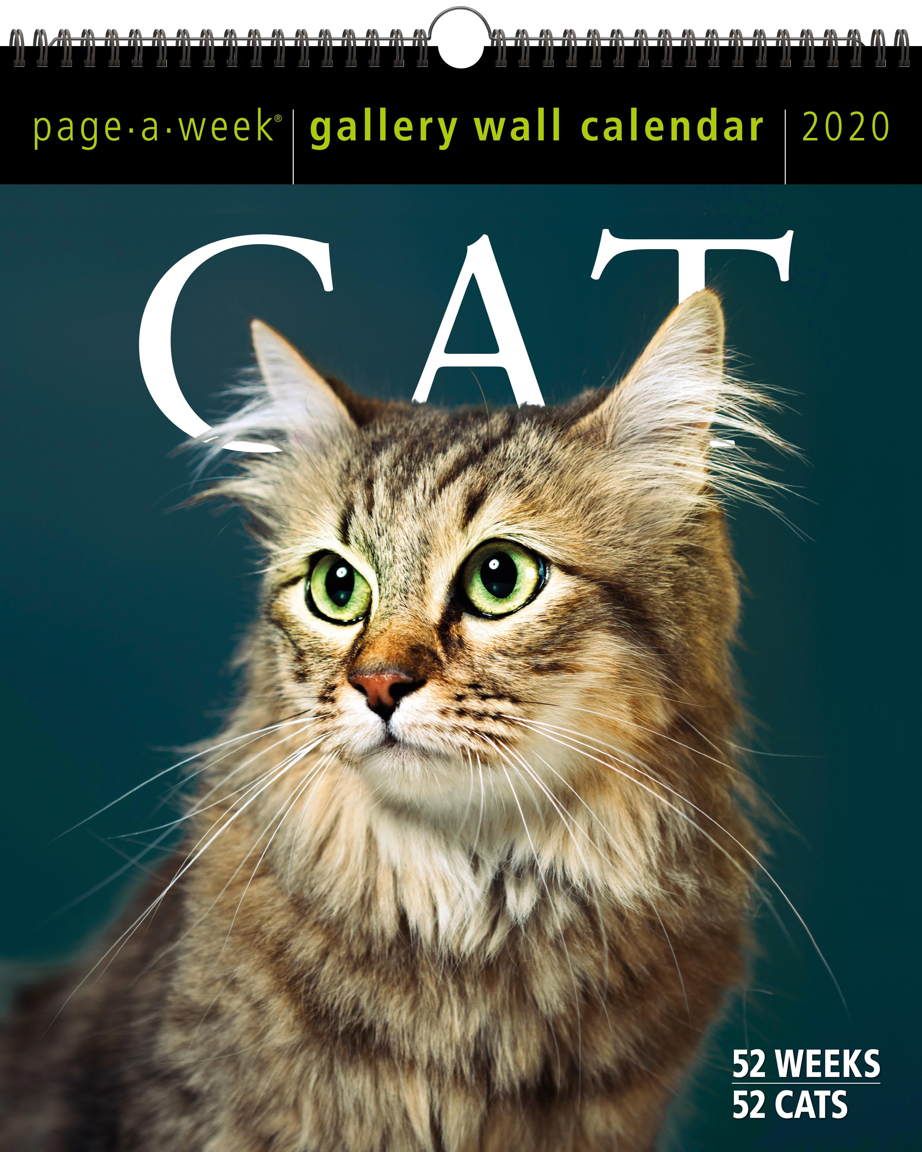 Cat Page-A-Week Gallery Wall Calendar 2020 (Calendar) - Walmart.com