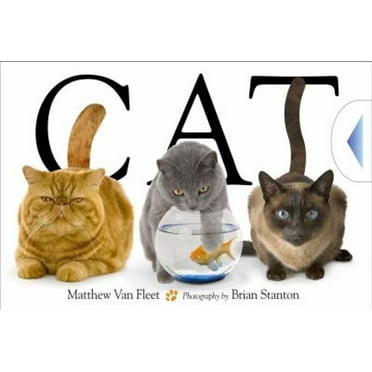 Princess Super Kitty, (Hardcover) - Walmart.com