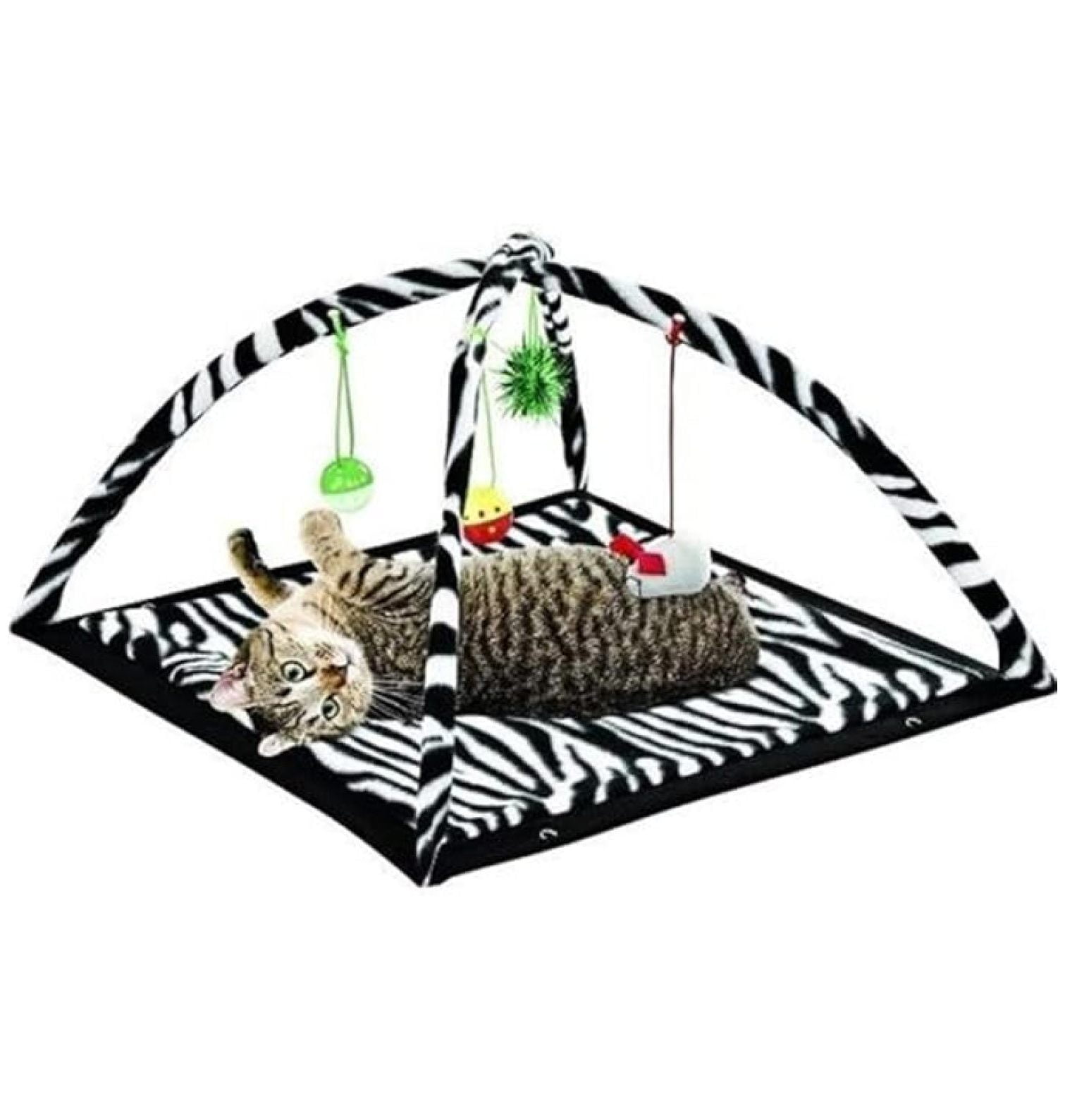 Cat Play Tent Zebra Print - Kitten Bed House with Dangle Toys - Indoor ...