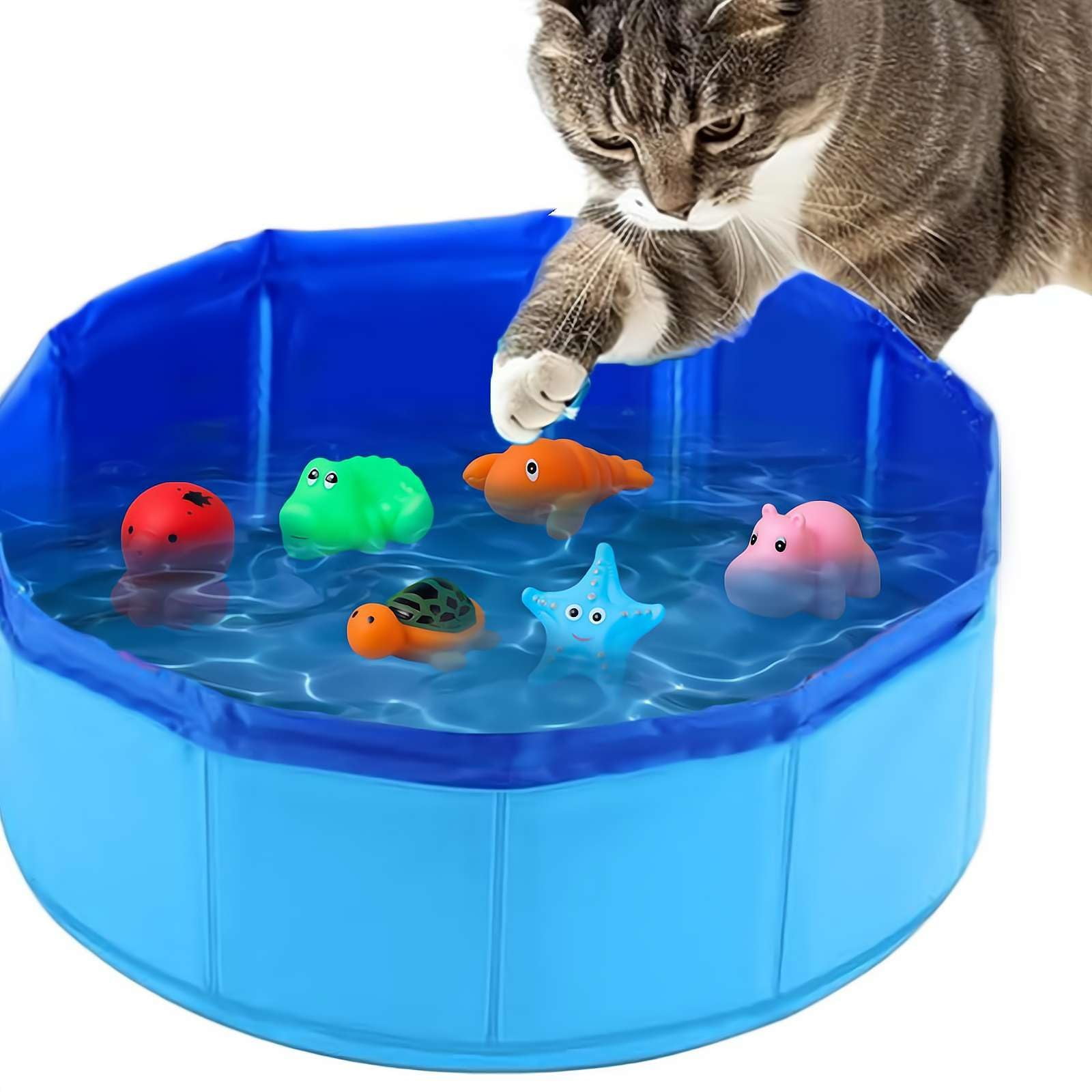 Cat Pool with 6pcs Swimming Fish Toy, Cat Water Toys, Cat Pool with ...