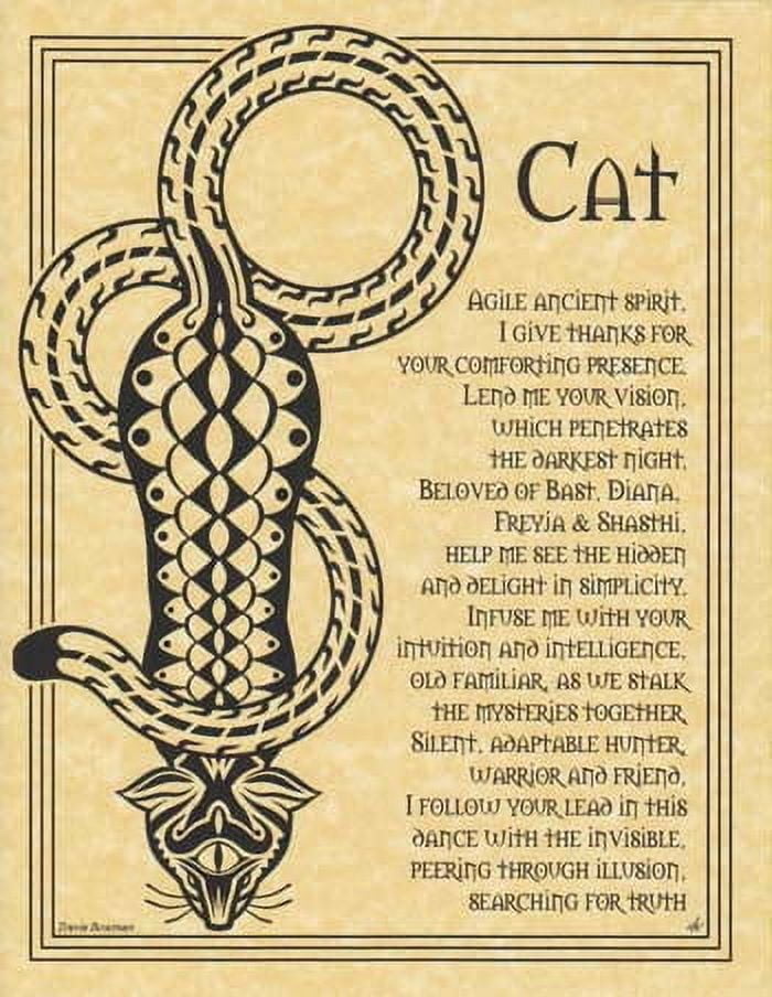Cat Prayer poster - Walmart.com