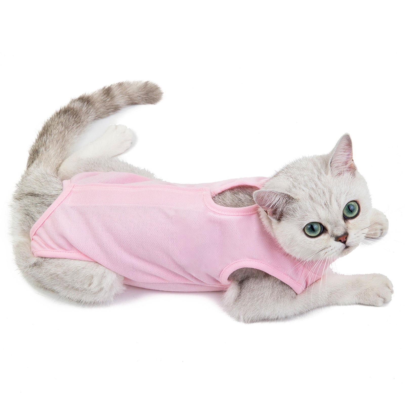 Cat Professional Recovery Clothes For Abdominal Wounds For Cats And ...