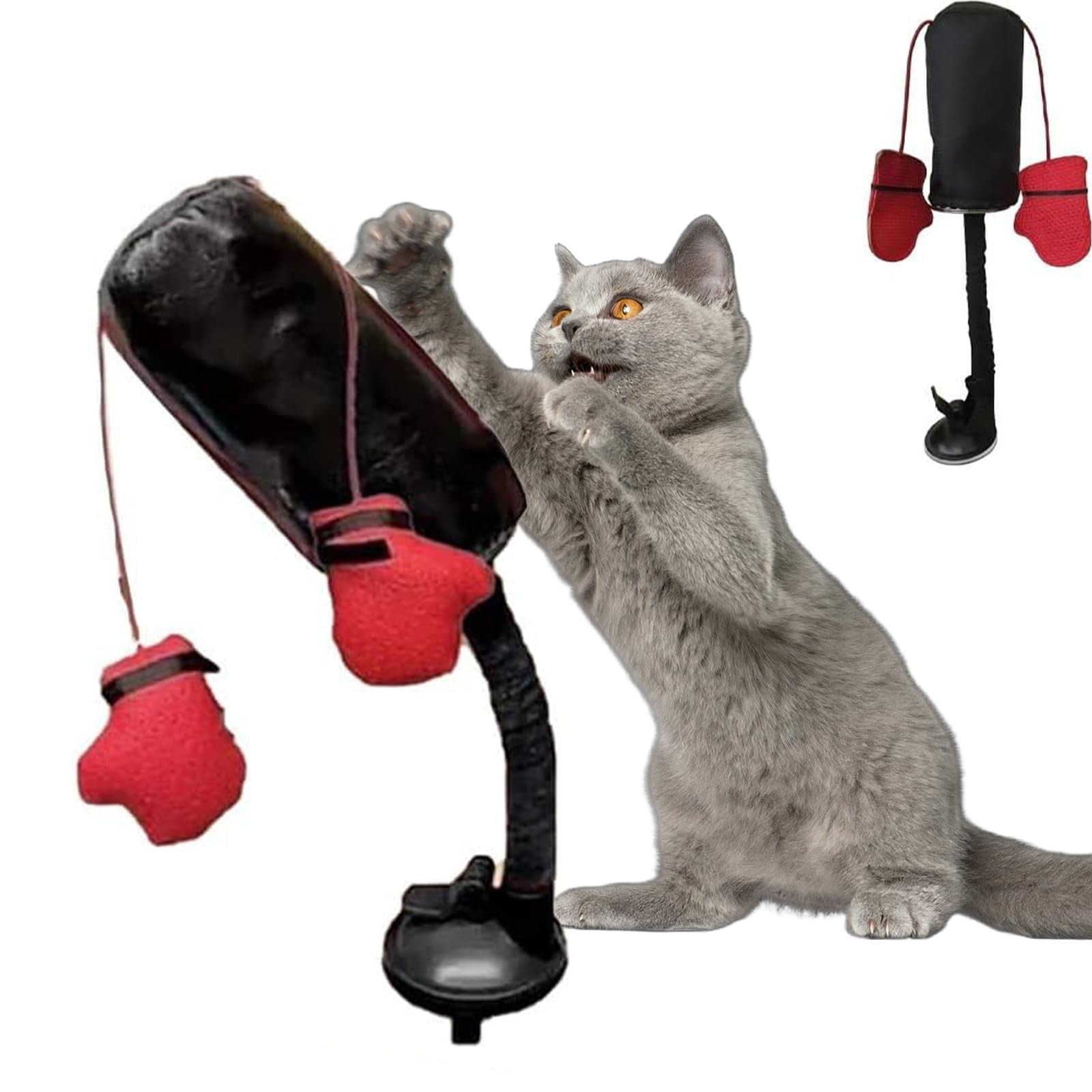 Cat Punching Bag Toy,Cat Boxing Toy–Punching Bag Play Gym with Spring ...