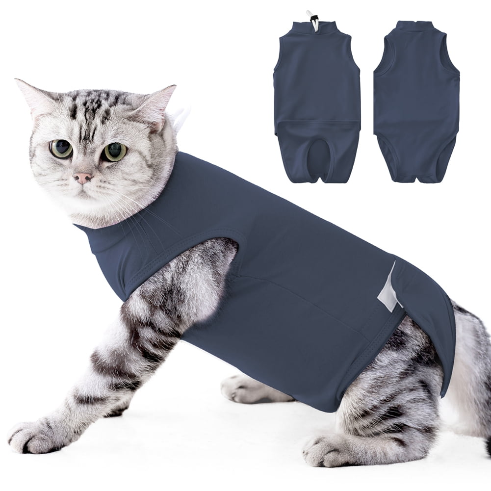 Cat Recovery Suit for Abdominal Wounds or Skin Diseases, Cat Onesie for ...