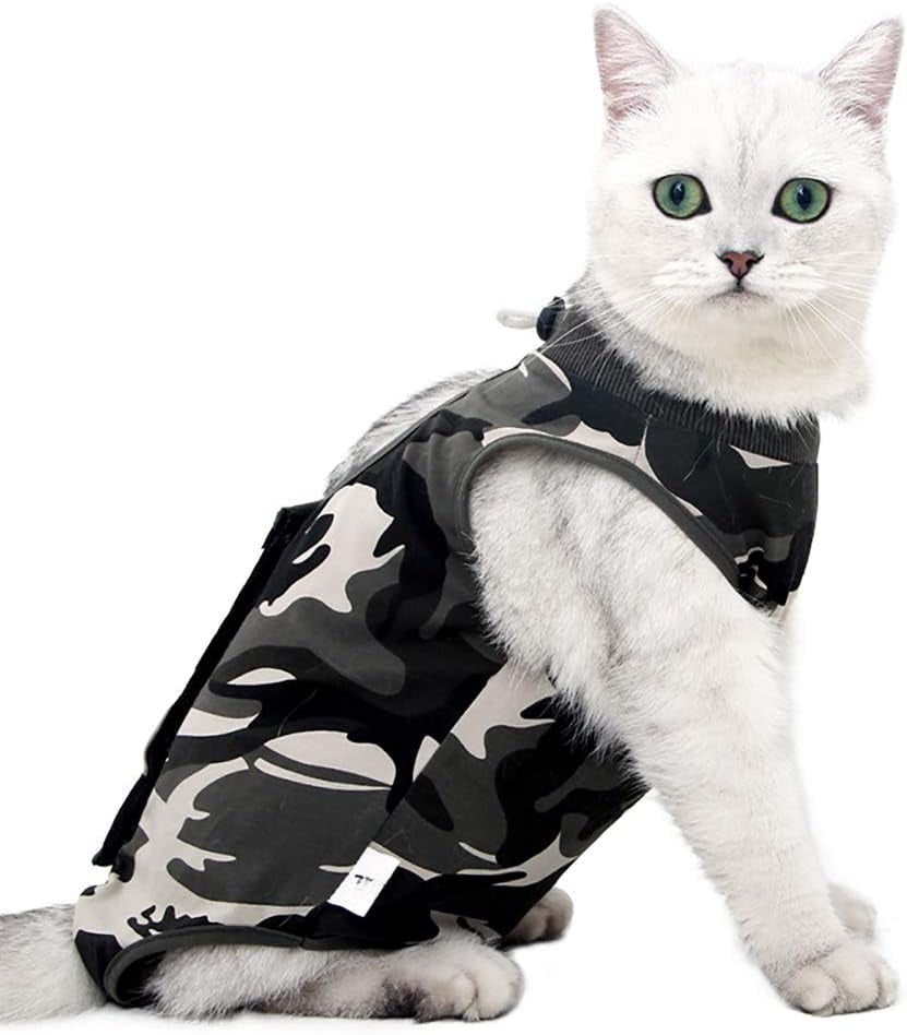 Cat Recovery Suit for Abdominal Wounds or Skin Diseases, Cat Onesie for ...