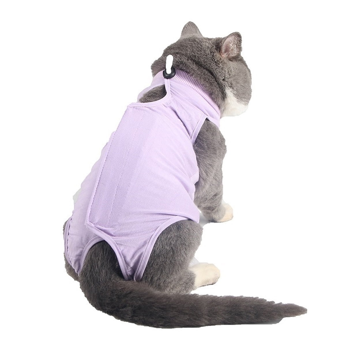 Cat Recovery Suit for Abdominal Wounds or Skin Diseases, Cat Onesie for ...