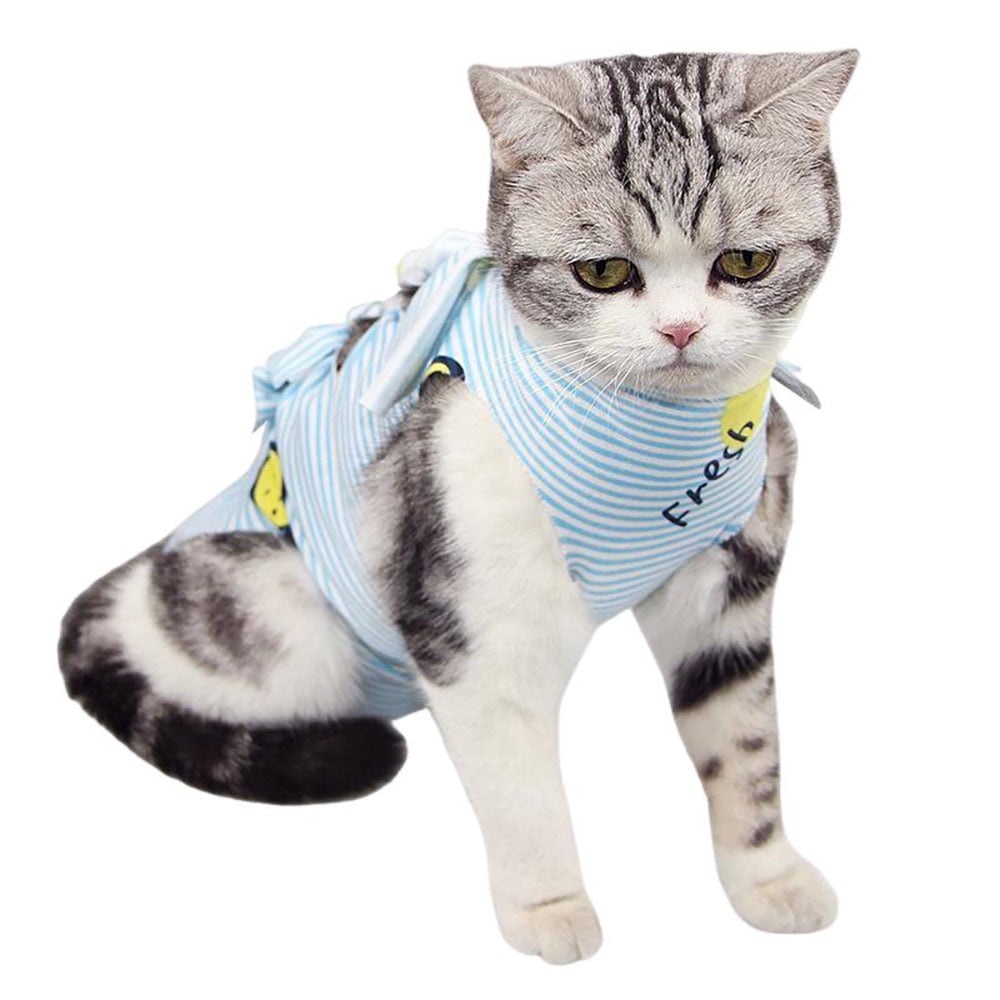 Cat Recovery Suit, Cat Surgery Recovery Shirt , Pet Neuter Protective ...