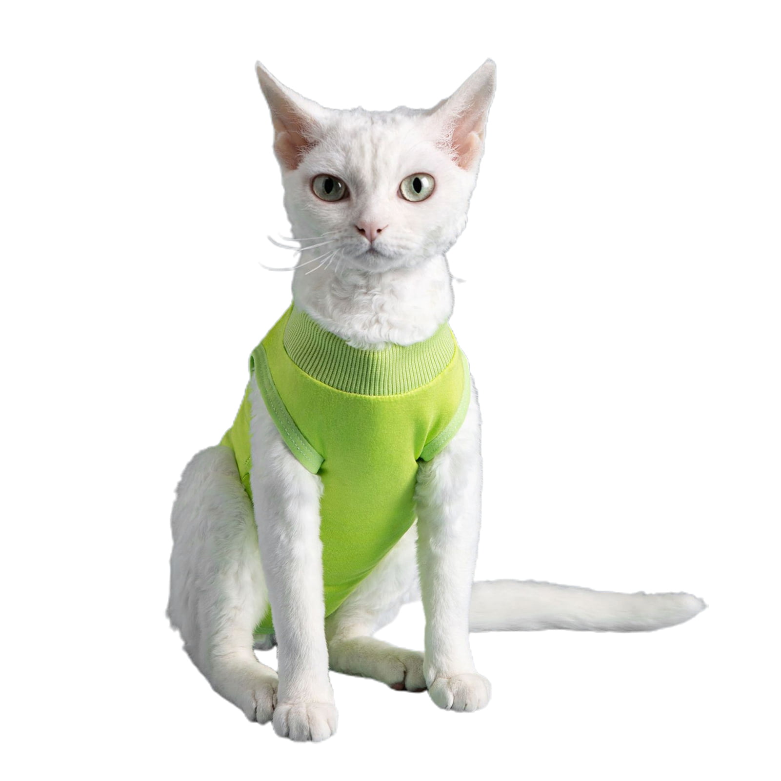 Cat Recovery Suit, Fastener Tape Adjustable Kitten Recovery Suit, E ...