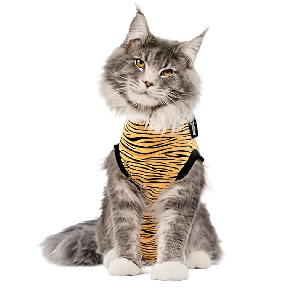 Cat Recovery Suit - Cat Recovery Suit for Spay, Neuter, Suture ...