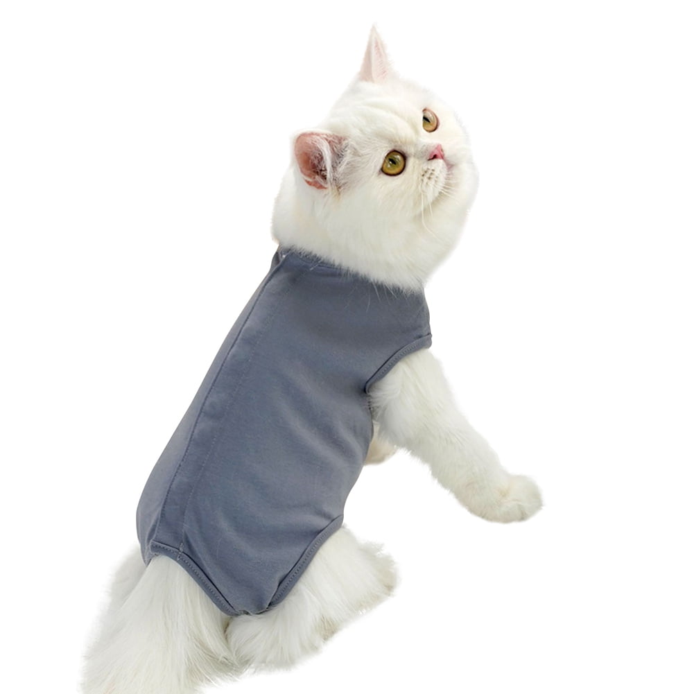 Cat Recovery Suits, Polyester E-Collar Alternative, Breathable Kittens ...