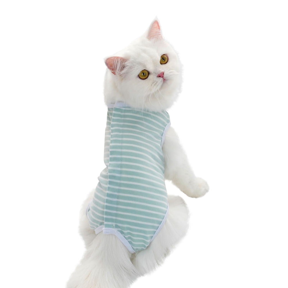 Cat Recovery Suits, Polyester E-Collar Alternative, Breathable Kittens ...