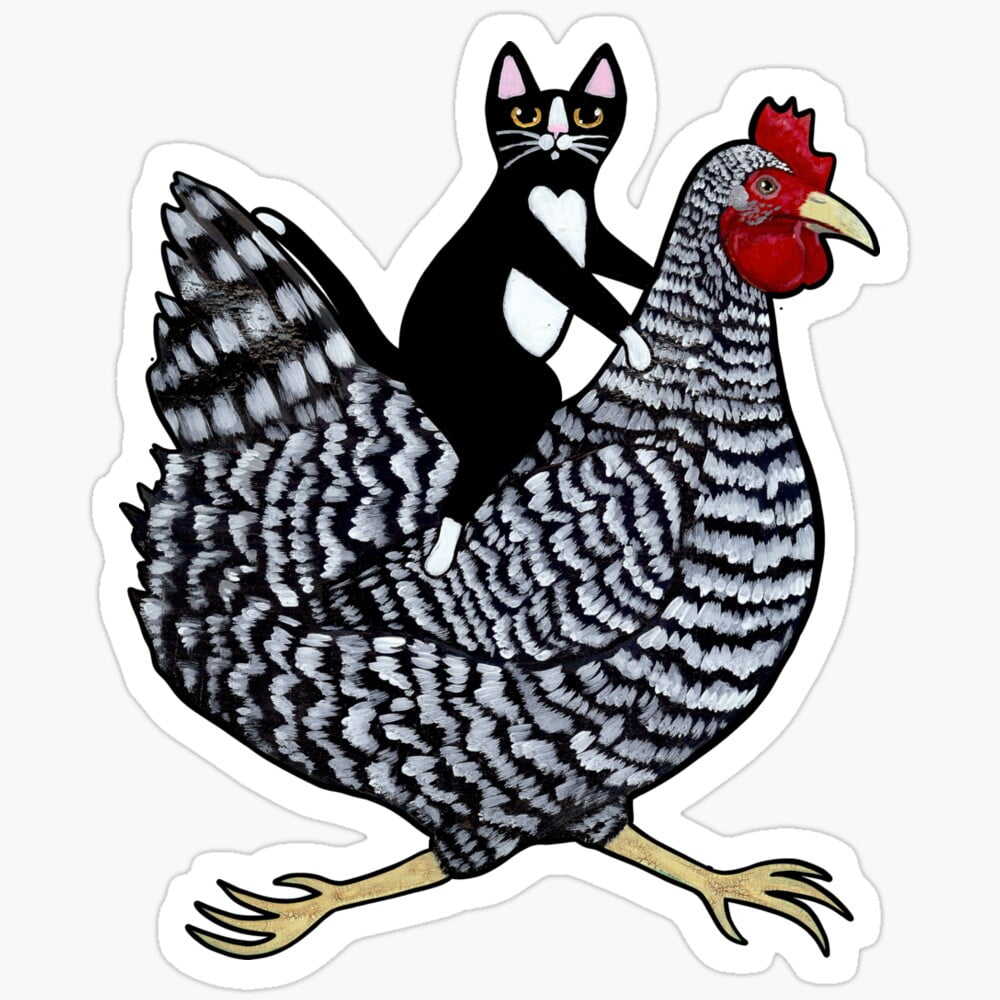 Cat Riding A Chicken Sticker Phone Decal Water Bottle Stickers Car ...