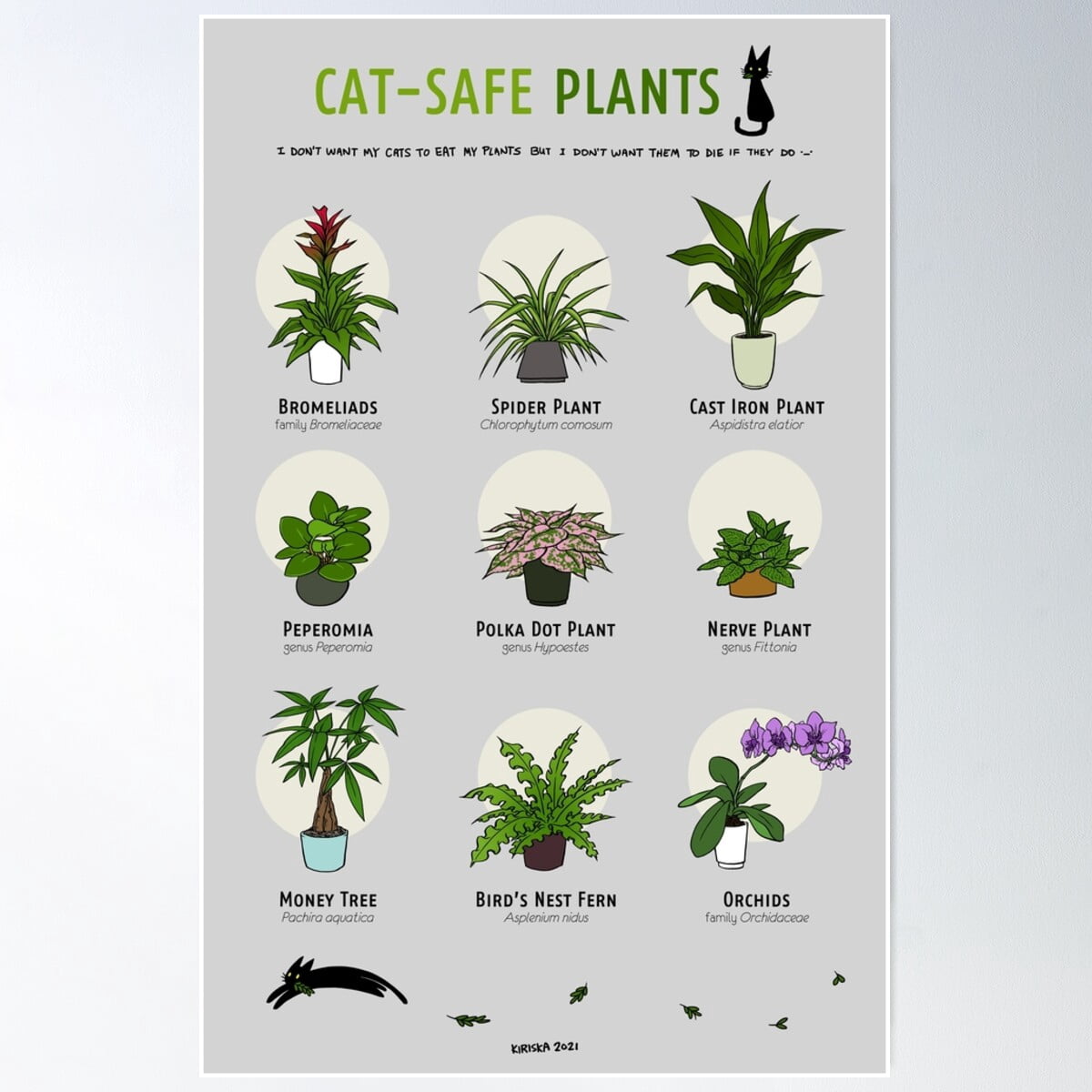 Cat-Safe Plants Poster Wall Art Modern Wall Decor Wall Art Home Decor ...