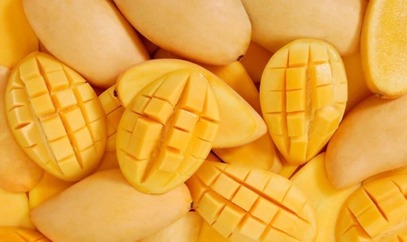 Cat Saigon Thai Mango TREE grafted shipped in 3 gallons pot to free all ...