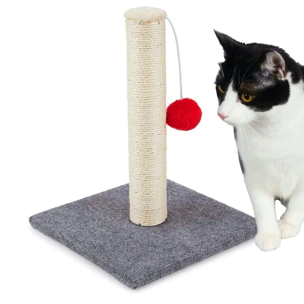 Cat Scratch Posts Pads Boxes Balls Toys Mice Birds or Flowers Catnip ...