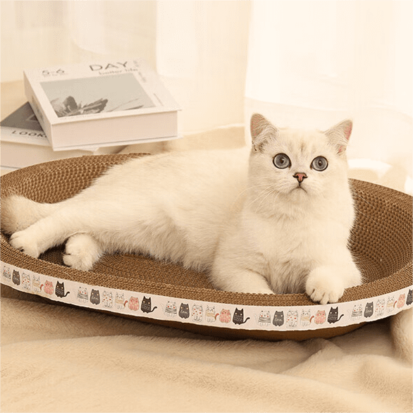 Cat Scratcher, High-Density Oval-Shaped Scratching Board, Water ...