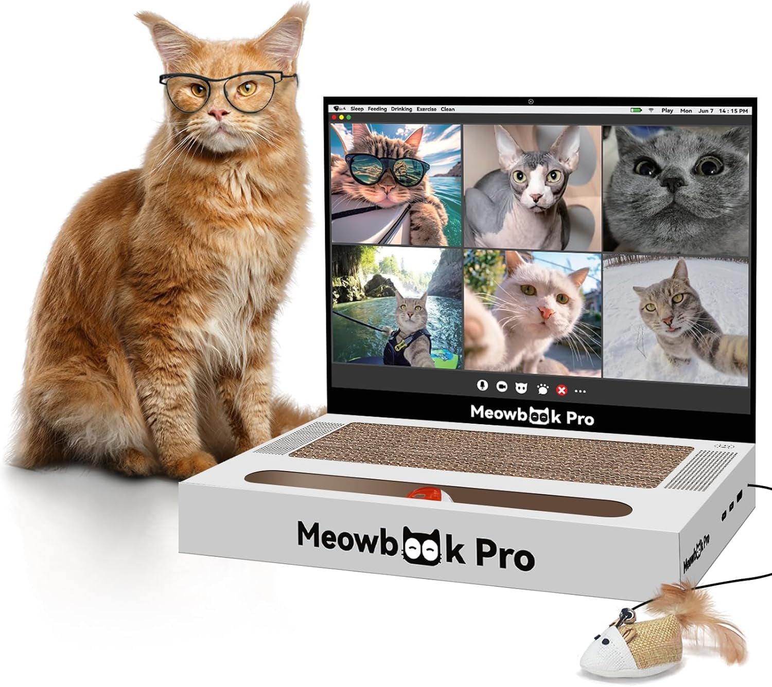 Cat Scratcher Laptop with 'Mouse' Jingle Ball, Stickers, 3-in-1 ...