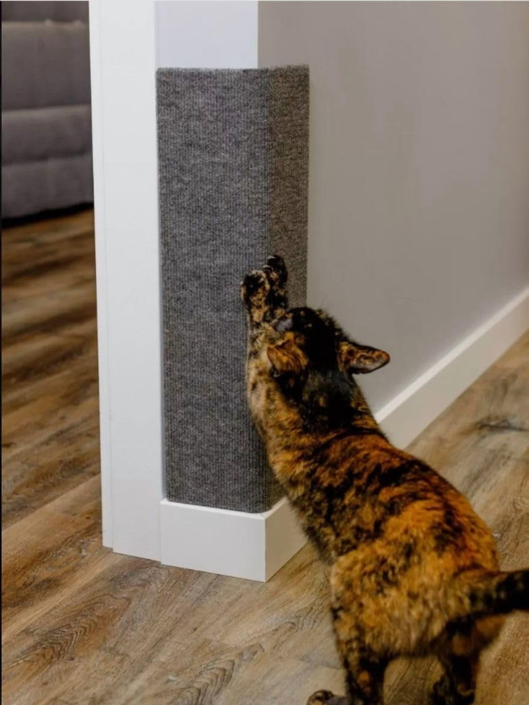 Cat Scratcher Mat, 24 X 14 Inch Cat Scratch Mats, Horizontal Cat Floor ...