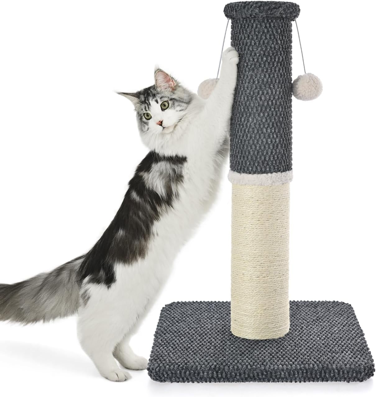 Cat Scratching Post 23.6", Tall Scratching Posts for Indoor Cats Adults ...