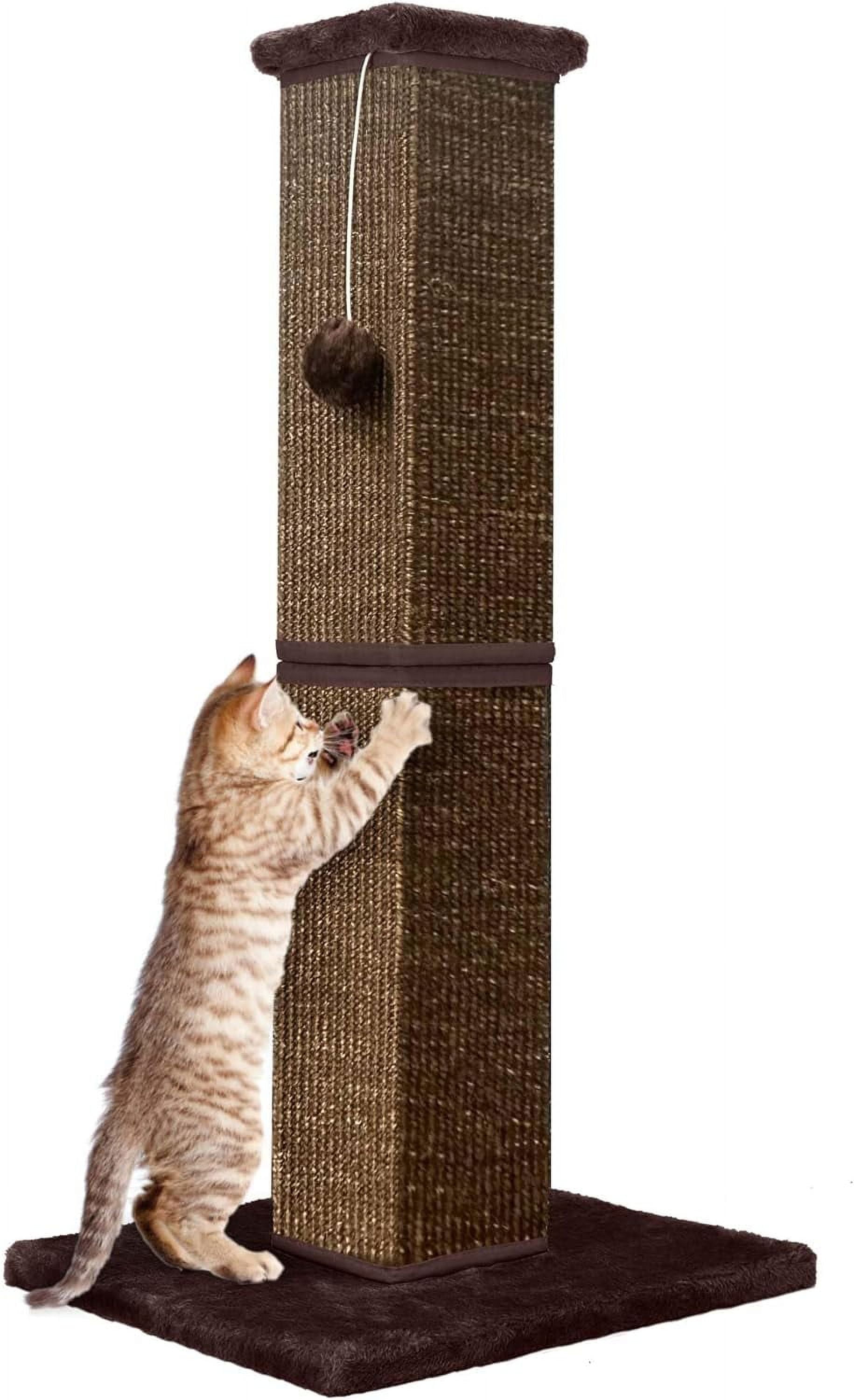 Cat Scratching Post 32 Inch for Indoor Large Cats and Kitten, Nature ...