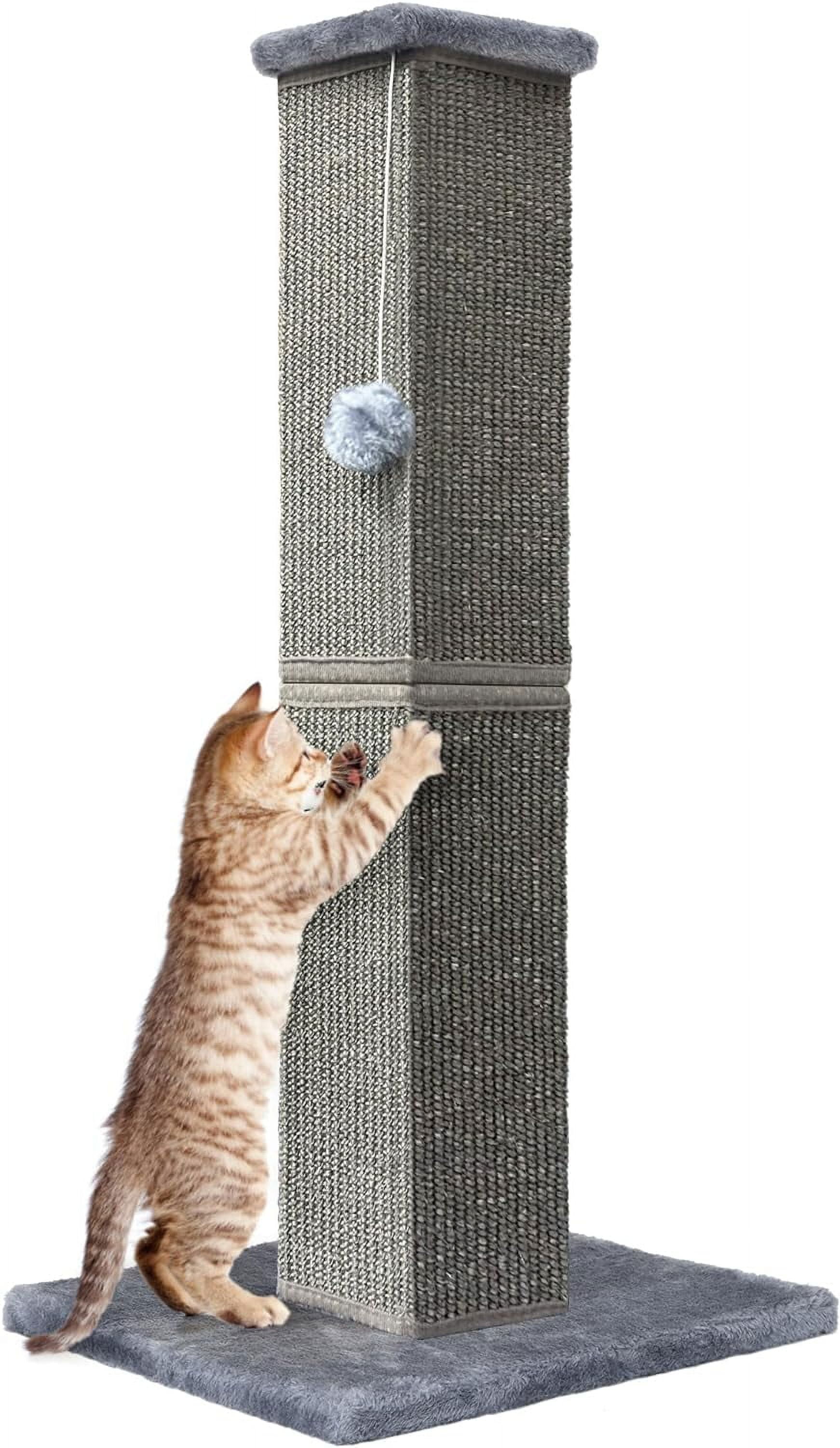 Cat Scratching Post 32 Inch for Indoor Large Cats and Kitten, Nature ...