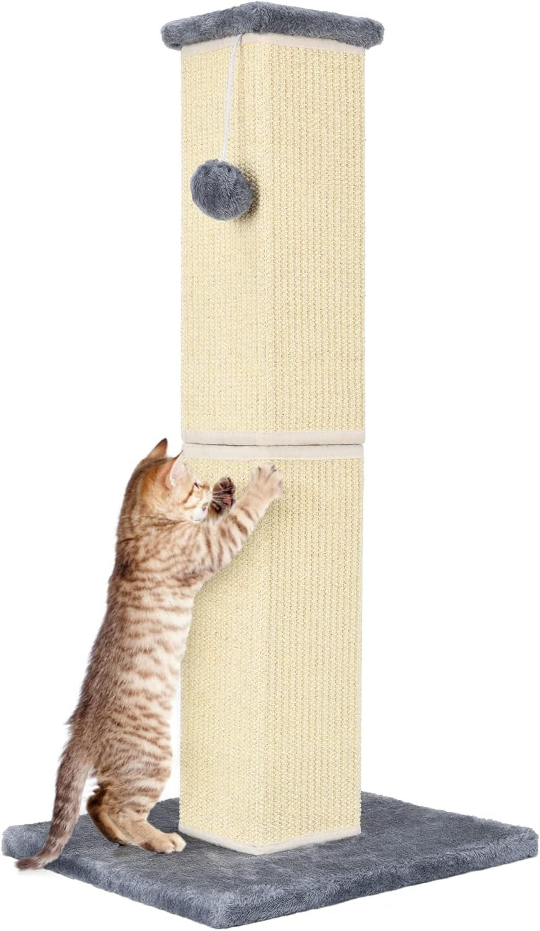 Cat Scratching Post 32 Inch for Indoor Large Cats and Kitten, Nature ...
