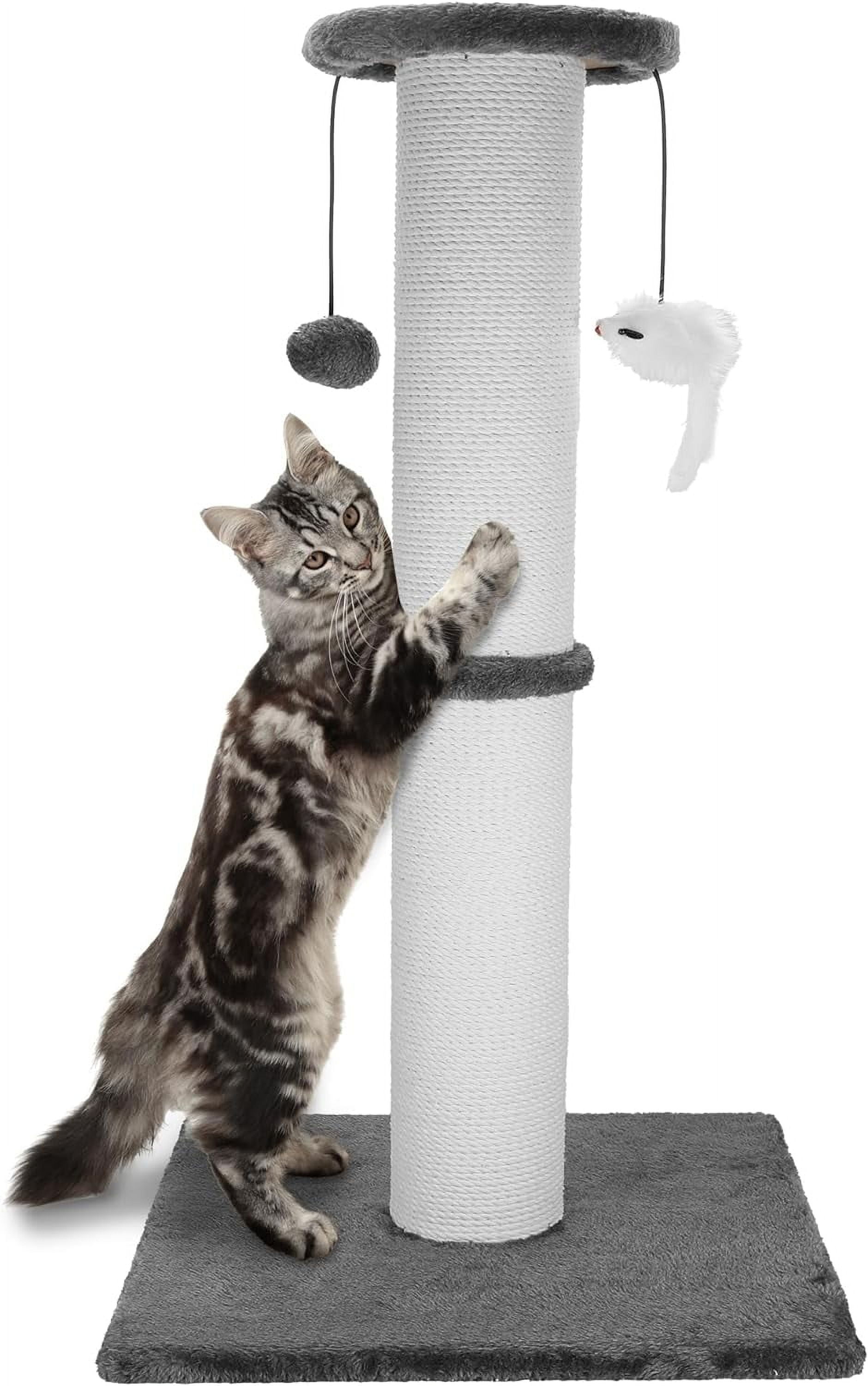 Cat Scratching Post 34 Inches Heavy Duty and Thicker Cat Scratching ...