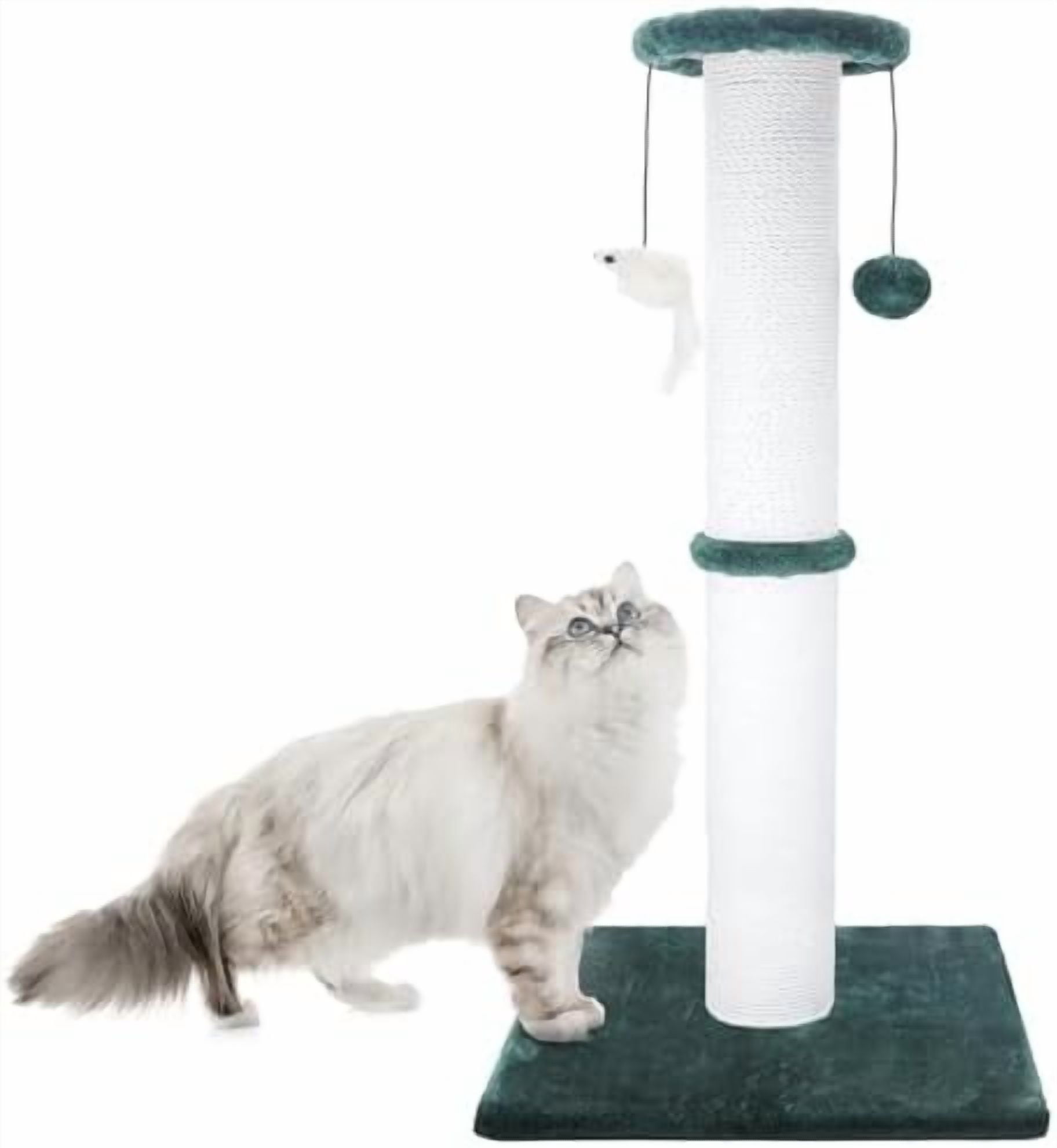 Cat Scratching Post 34 Inches Heavy Duty and Thicker Cat Scratching ...