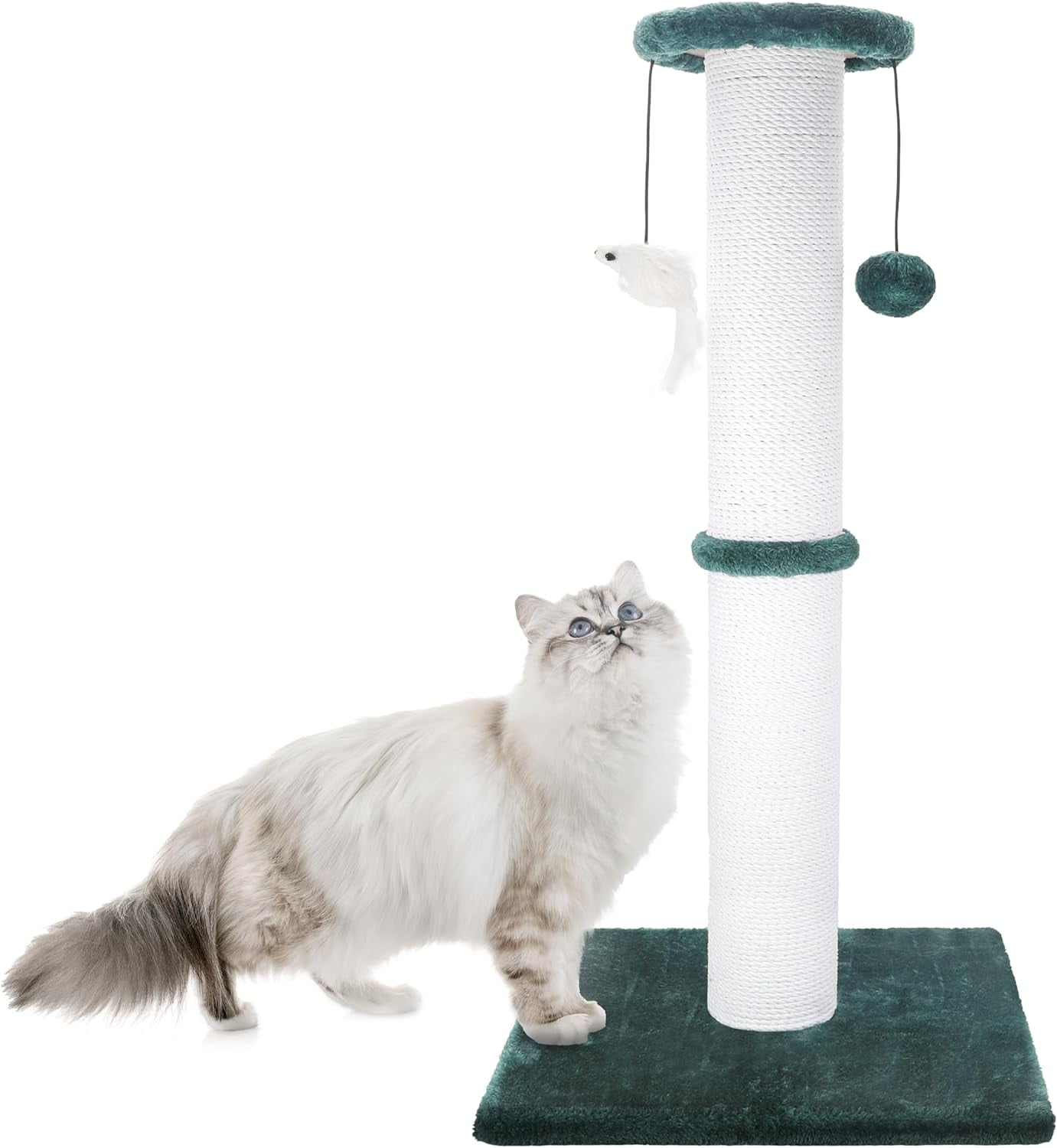 Cat Scratching Post 34 Inches Heavy Duty and Thicker Cat Scratching ...