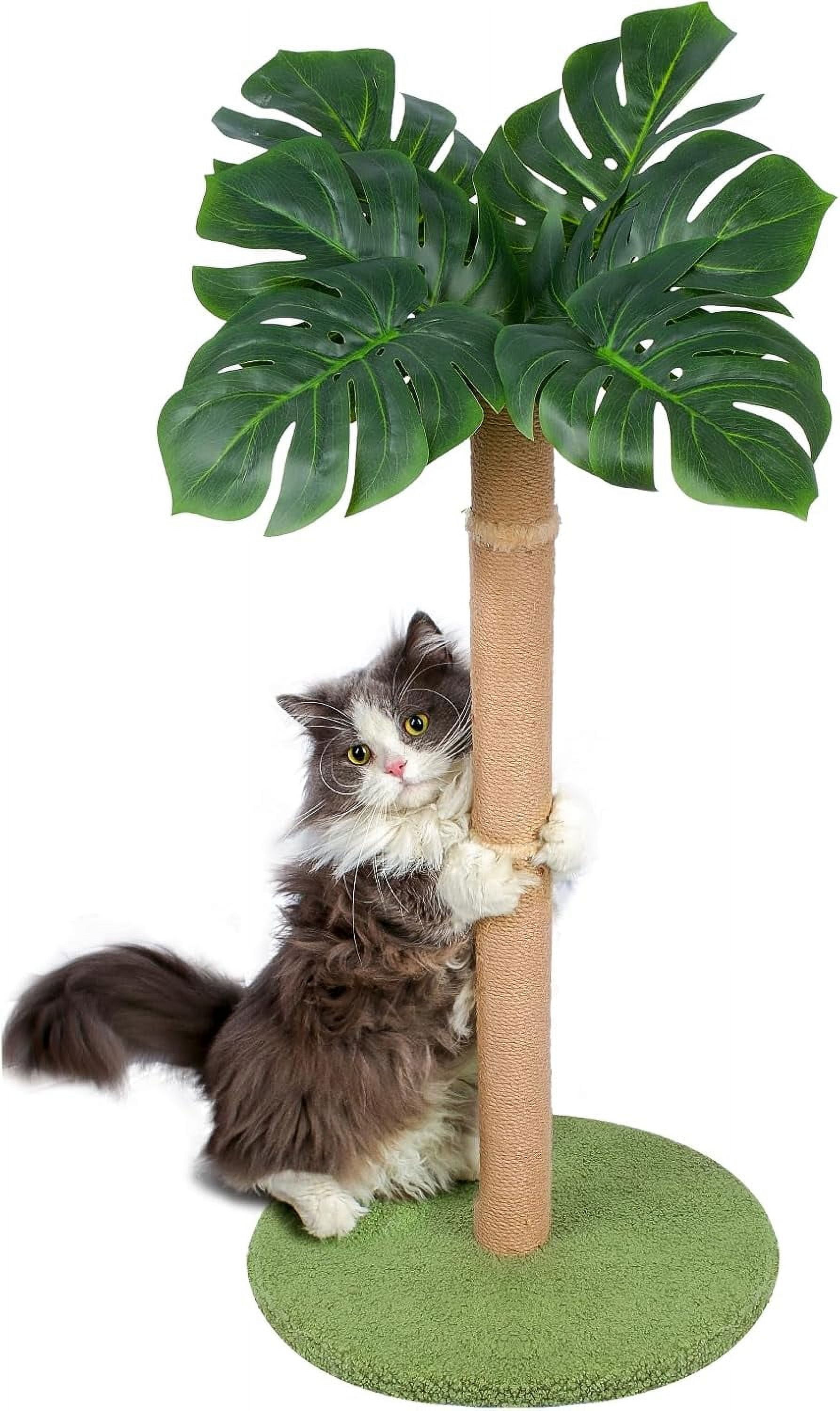 Cat Scratching Post 39.4 inch Tall Cat Tree for Indoor Cats Large Adult ...