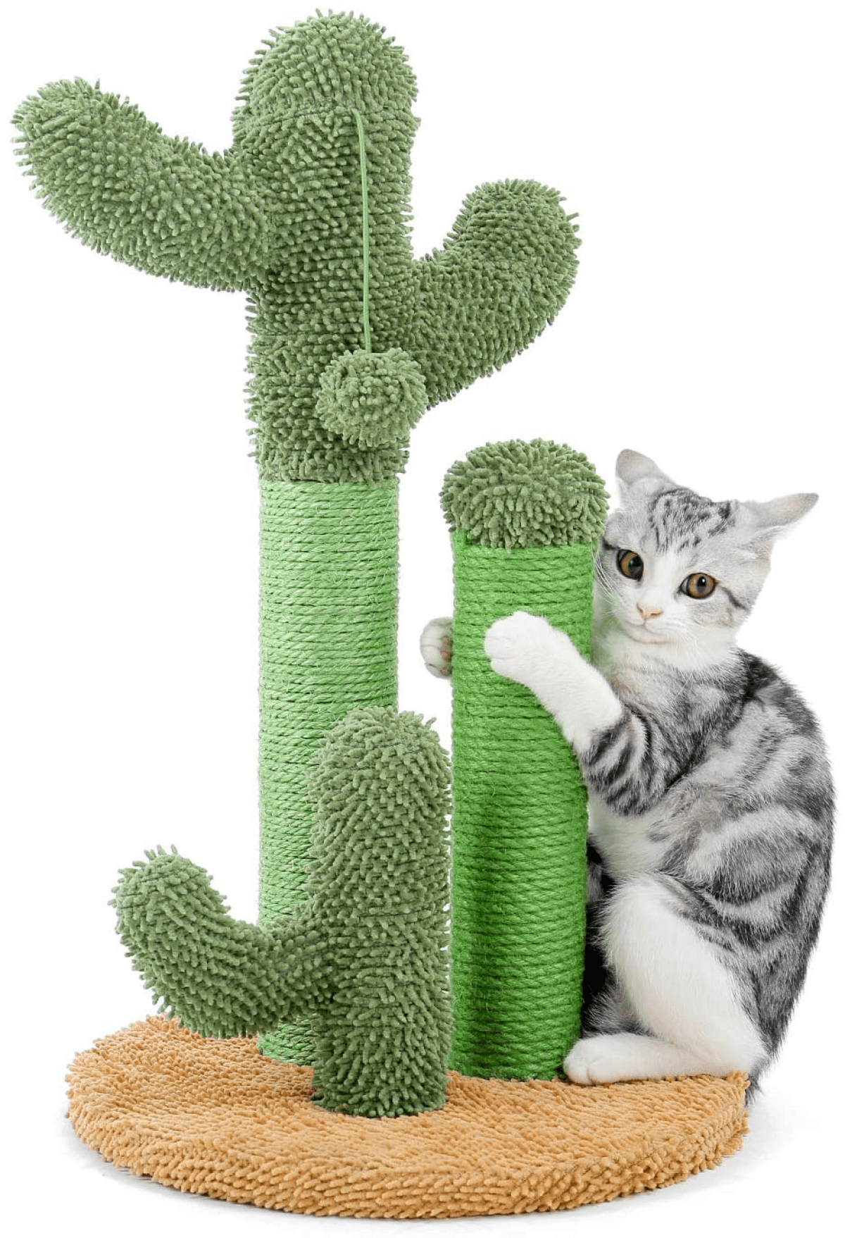 Cat Scratching Post Cactus Cat Scratcher Featuring with 3 Scratching ...