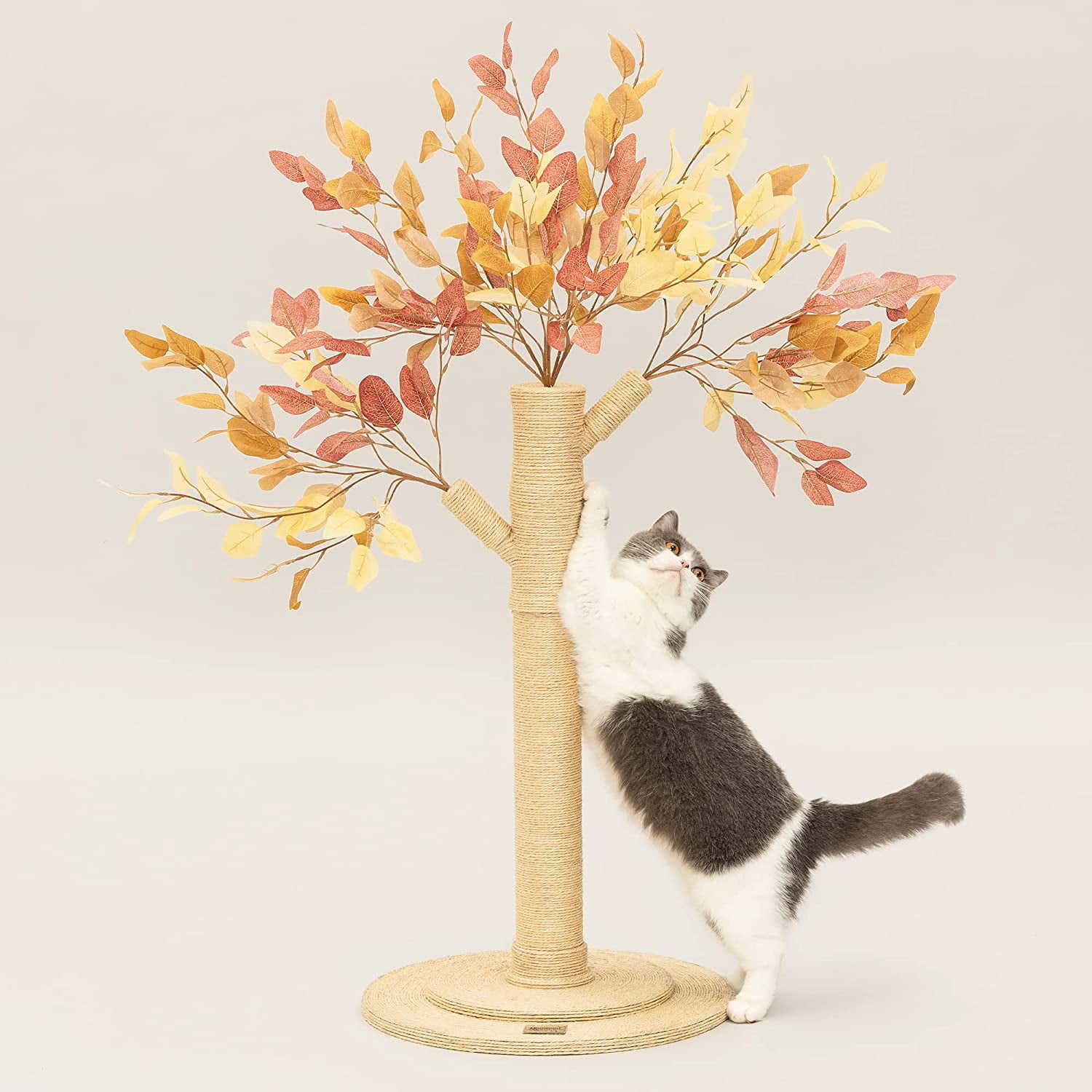 Cat Scratching Post for Indoor Cats Adults with Hanging Ball,42 Inch ...