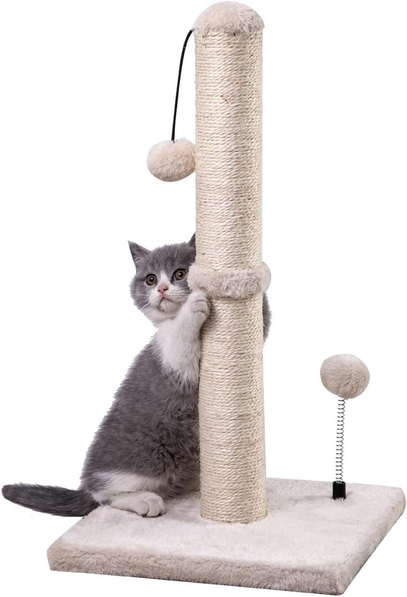 Cat Scratching Post Premium Basics Kitten Scratcher Sisal Scratch Posts ...