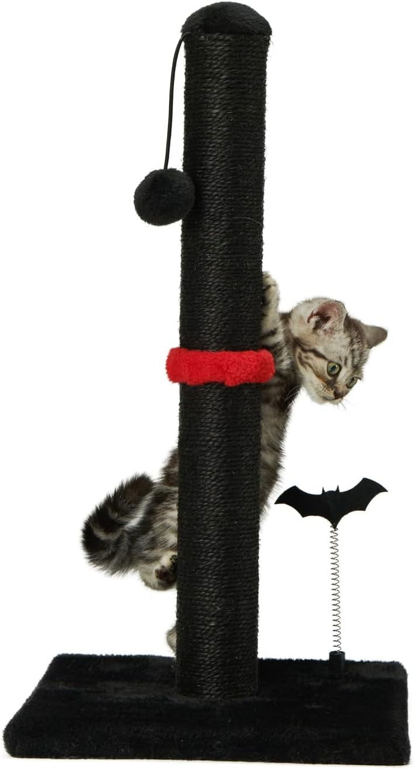 Cat Scratching Post Premium Sisal Scratch Posts with Hanging Ball ...