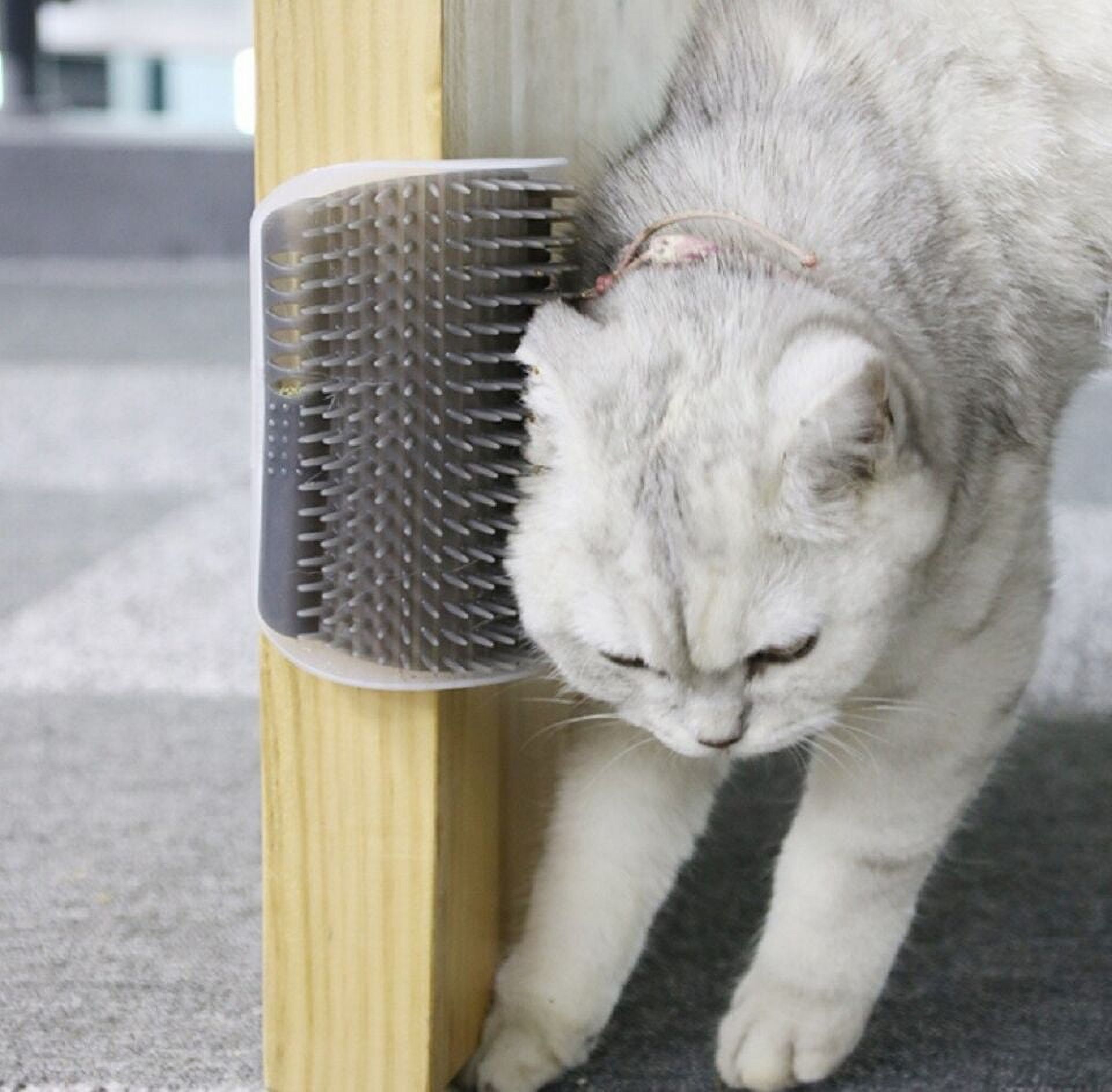 Cat Self-Groomer Face Scratcher Wall Corner Massage Comb Brush Grooming ...