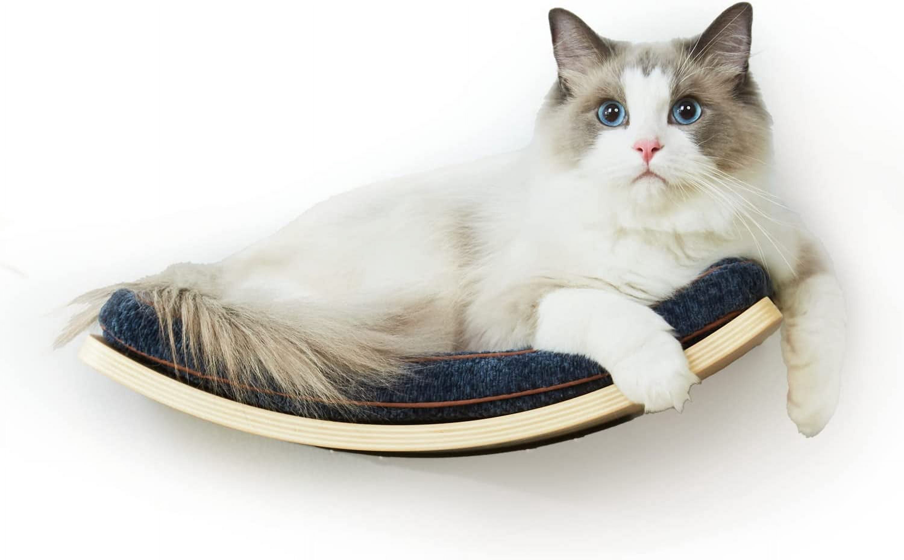Cat Shelf with Comfortable Cushion - Curved Cat Shelves and Perches for ...