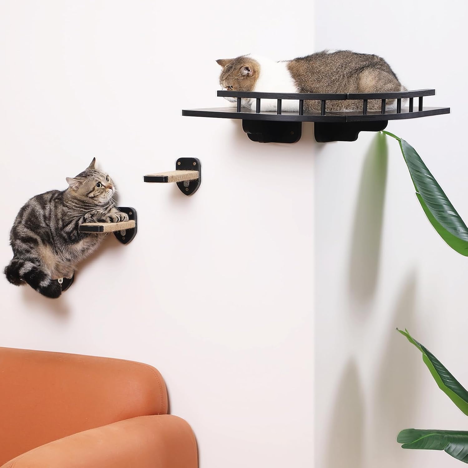 Cat Shelves for Wall, 2 Pcs Cat Wall Shelves with 3 Cat Wall Steps ...
