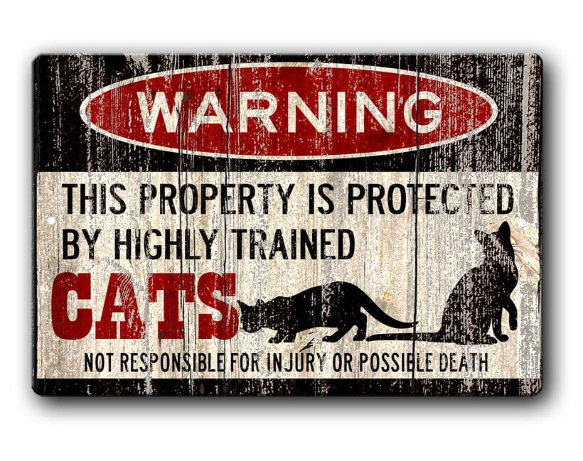 Cat Sign,Funny Metal Signs,Cat Warning Sign,Cat Lady Sign,Warning Sign ...