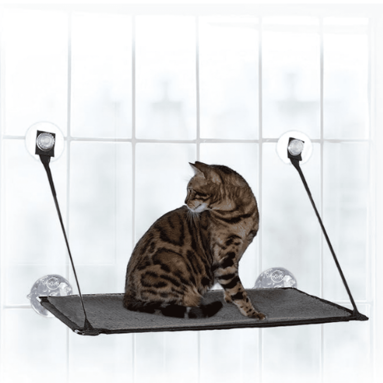 Cat Sill Window Perch Sturdy Cat Hammock Window Seat with Wood & Metal ...