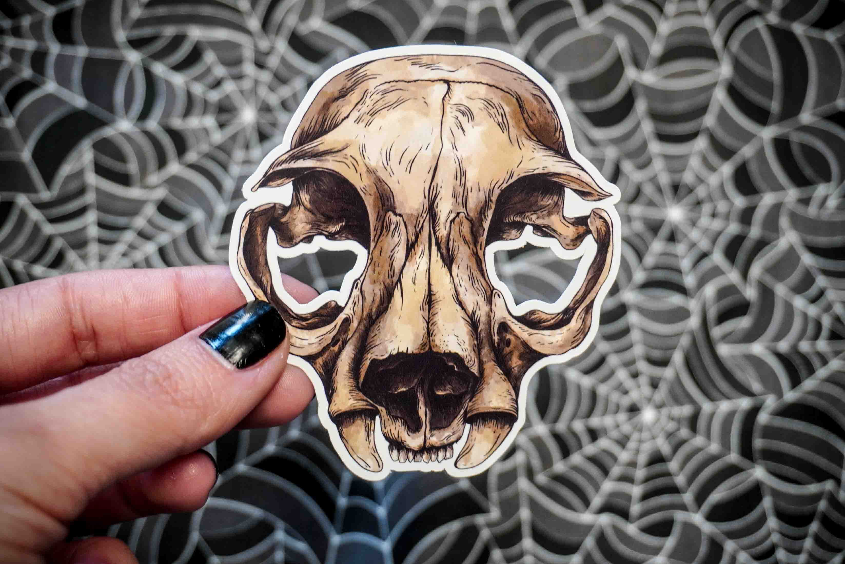 Cat Skull Sticker - Vinyl, Machine Die Cut Water Resistant - Walmart.com