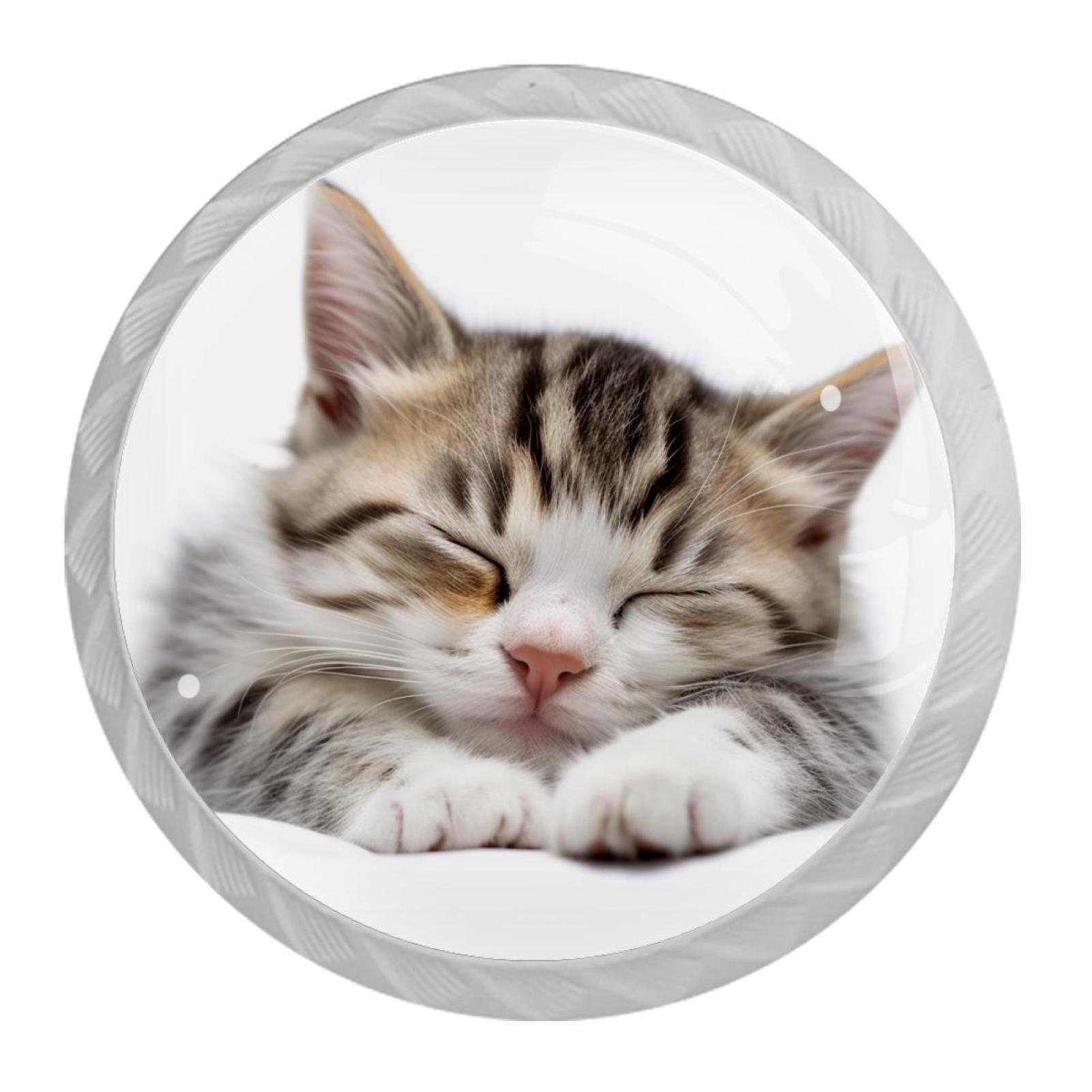 Cat Sleeping Drawer Knobs, 4 Piece Set Decorative Kitchen Knobs ...